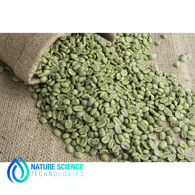 Green Coffee Bean Extract – Energizing Botanical for Skincare Use