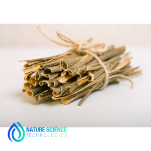 Willow Bark Extract – Natural BHA for Clarifying Skincare